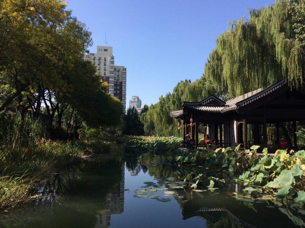 Winners and losers of China’s green transformation - STEPS Centre