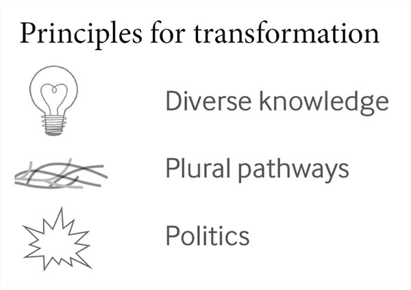 Three approaches for transformations to sustainability: new STEPS paper ...