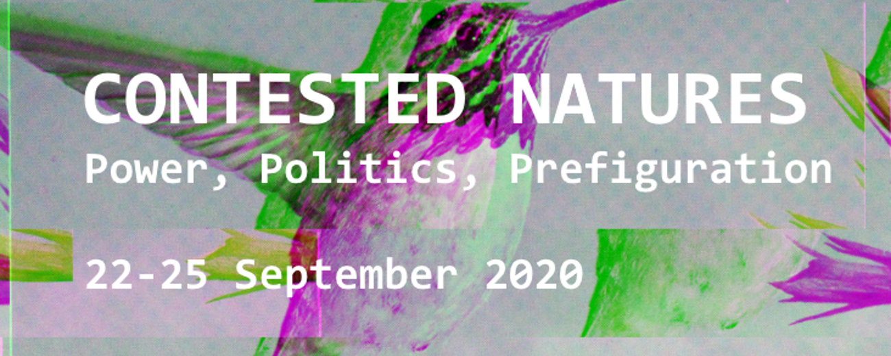 hummingbird1-carousel - STEPS Centre