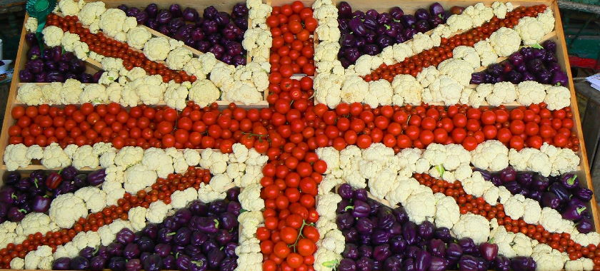 uk-farming - STEPS Centre