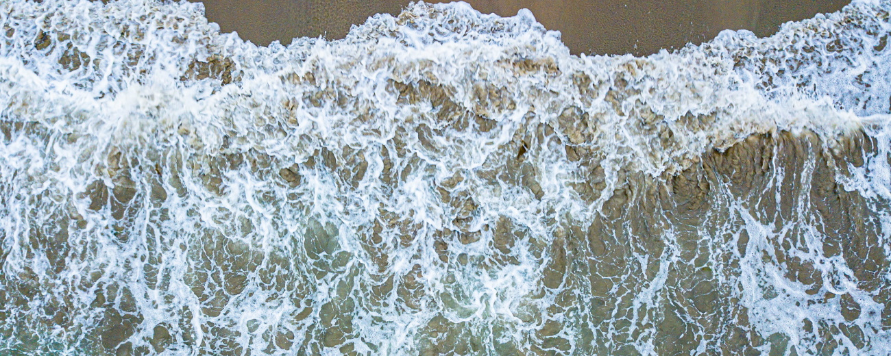 waves-s - STEPS Centre