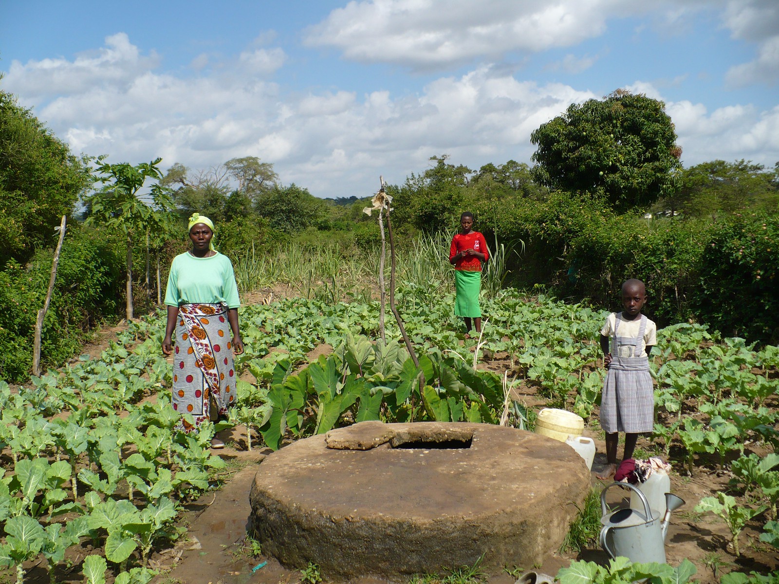 Exploring pathways to sustainable agriculture and food systems - STEPS ...