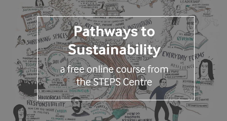 banner2 - STEPS Centre