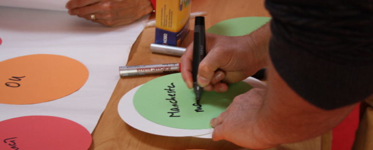 Methods Vignettes: Participatory Impact Pathways Analysis - STEPS Centre